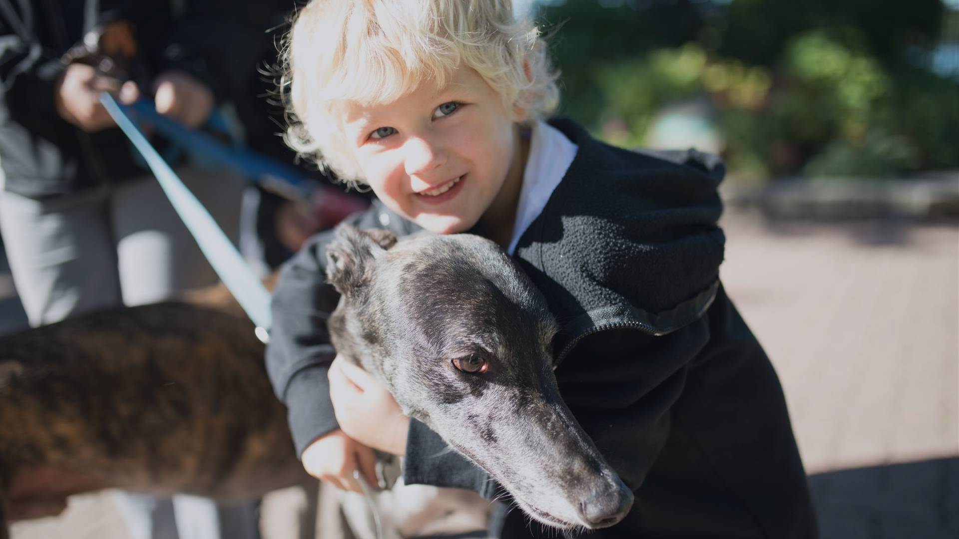 Dog Licensing | Town of Amherstburg